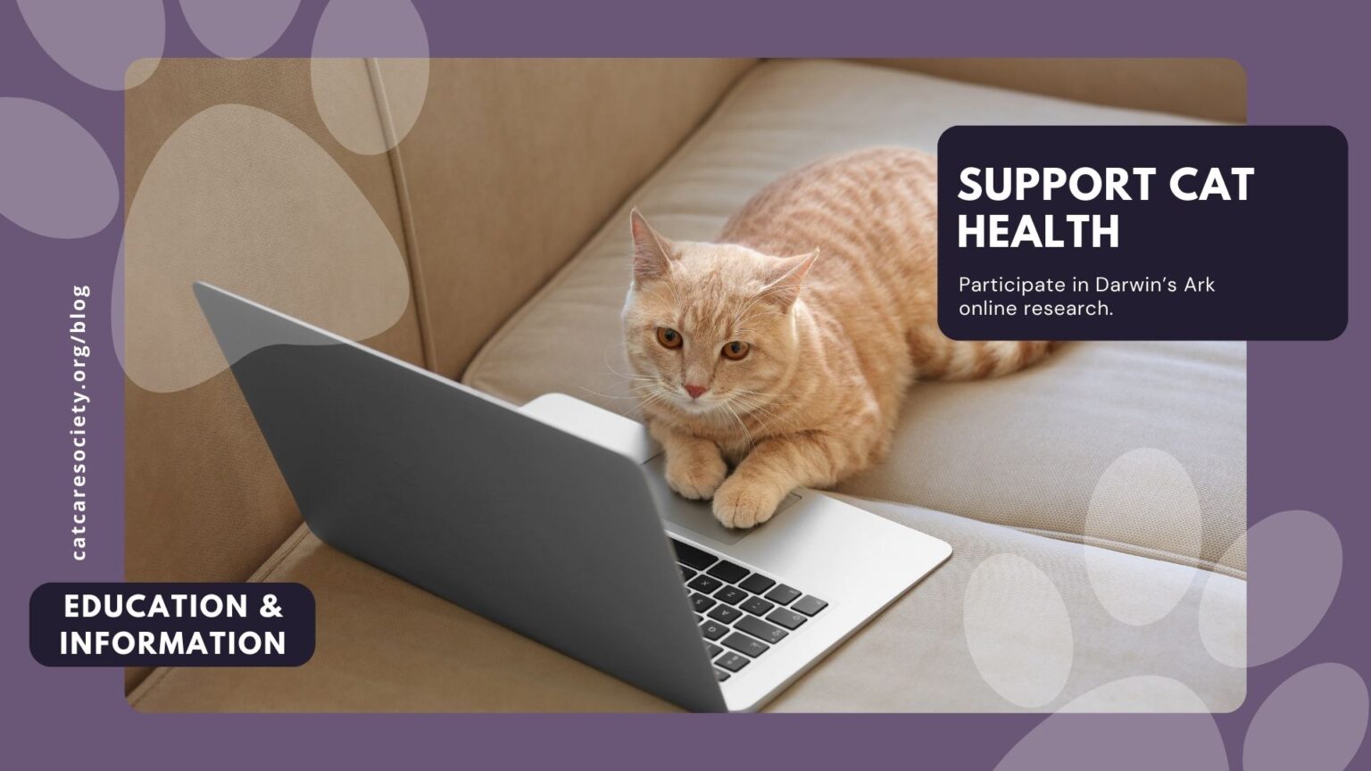 Support Cat Health: Participate in Darwin’s Ark Online Research | Cat ...