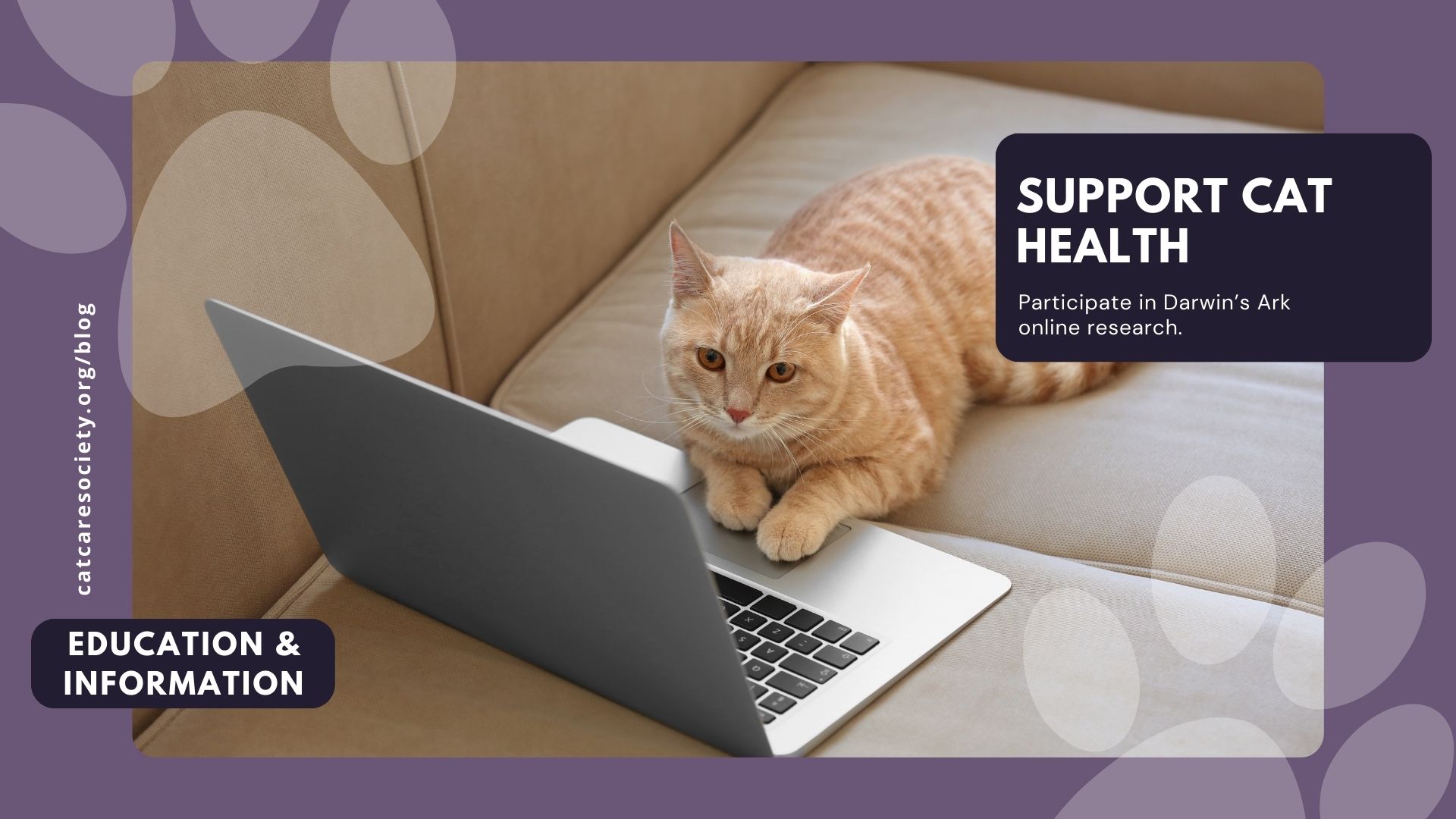 Support Cat Health: Participate in Darwin’s Ark Online Research | Cat ...