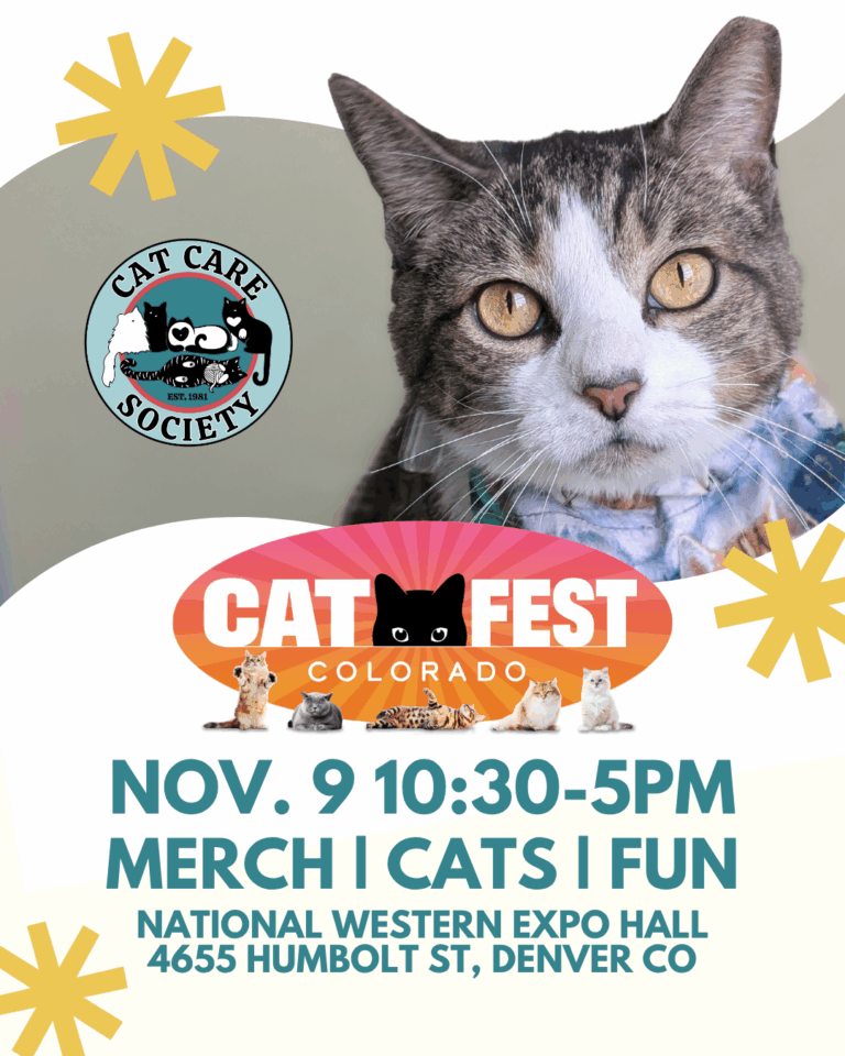 Cat Fest Colorado | Cat Care Society